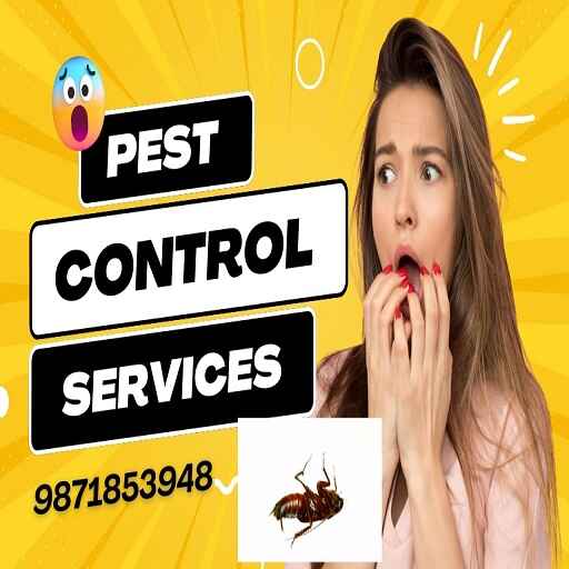 Pest Control Services Near me | Burari